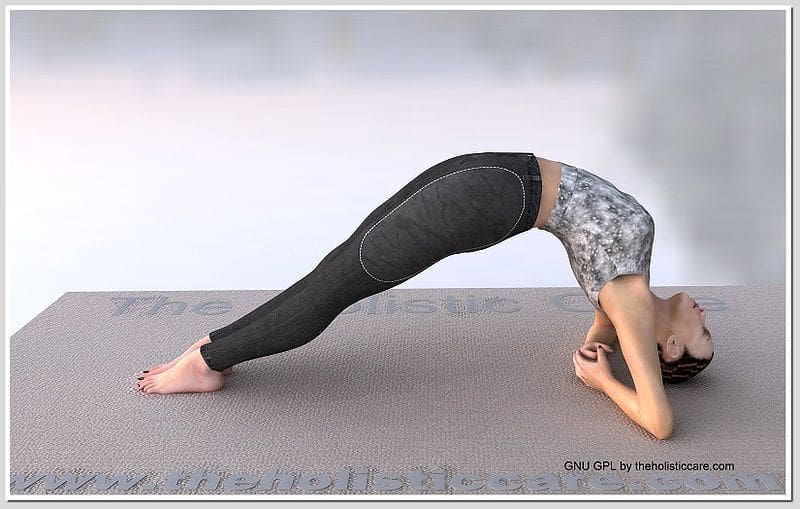 Inverted Staff the Dwi Pada Viparita Dandasana द्वि पाद विपरीत दण्डासन