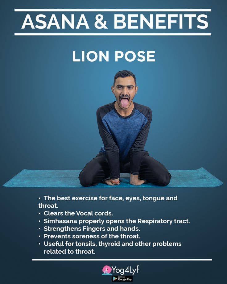Lion Pose - Simhasana सिंहासन Yoga Asana Collection
