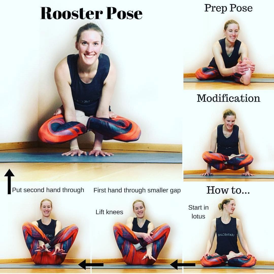Rooster Pose - Kukkutasana कुक्कुटासन Yoga Asana Collection
