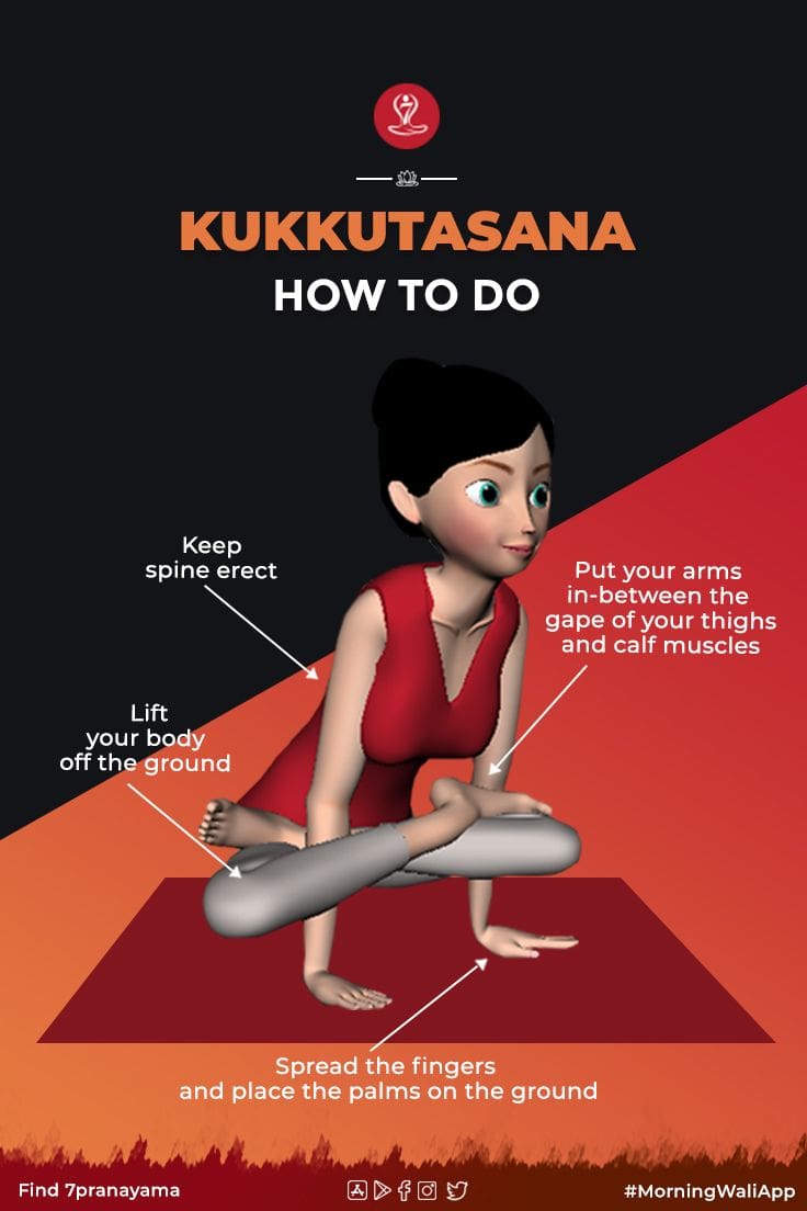 Rooster Pose - Kukkutasana कुक्कुटासन Yoga Asana Collection