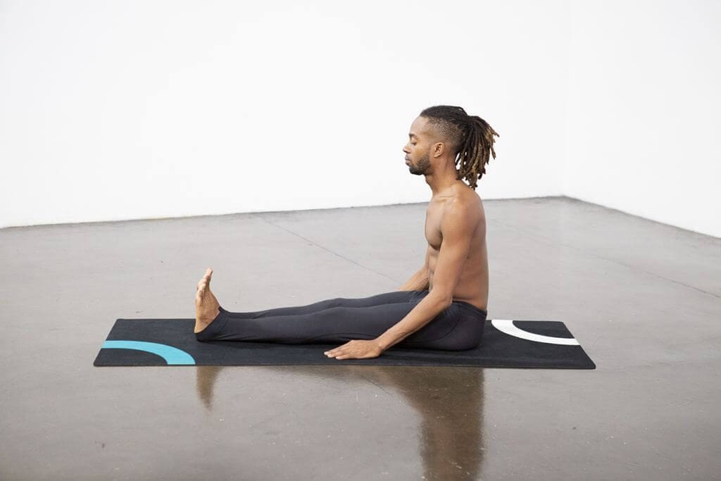 Staff Pose - Dandasana दण्डासन Yoga Asana Collection