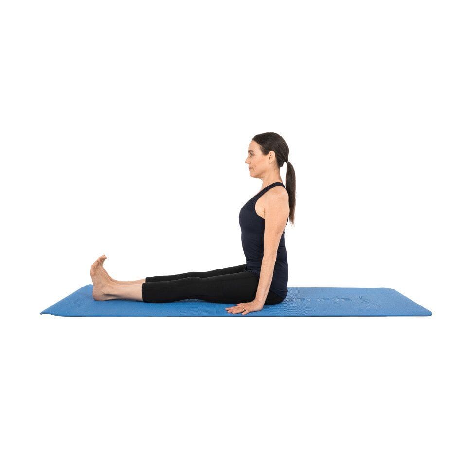 Staff Pose - Dandasana दण्डासन Yoga Asana Collection