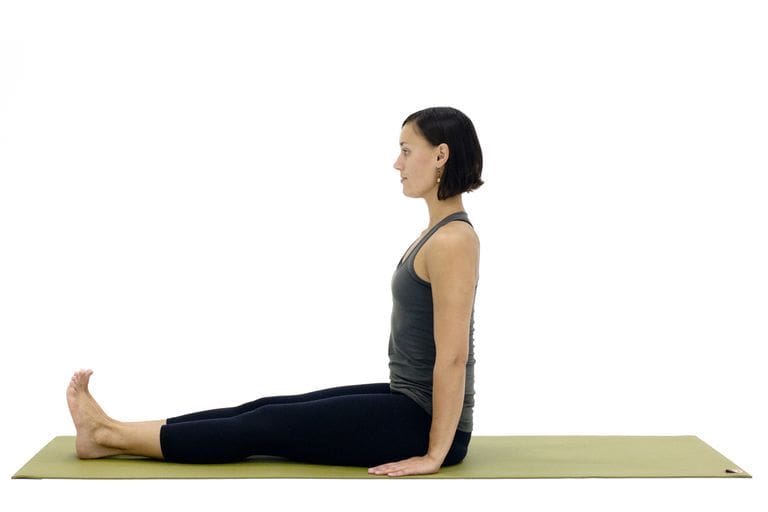 Staff Pose - Dandasana दण्डासन Yoga Asana Collection