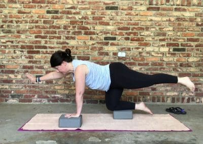 Sunbird Pose - Parsva Balasana पार्श्व बालसना Asana Collection