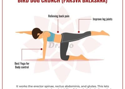 Sunbird Pose - Parsva Balasana पार्श्व बालसना Asana Collection