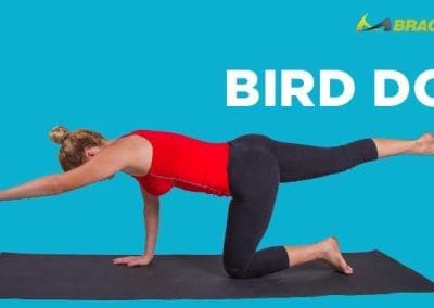 Sunbird Pose - Parsva Balasana पार्श्व बालसना Asana Collection